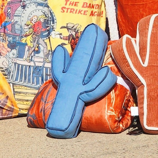 Kick A Cactus Denim Pillow