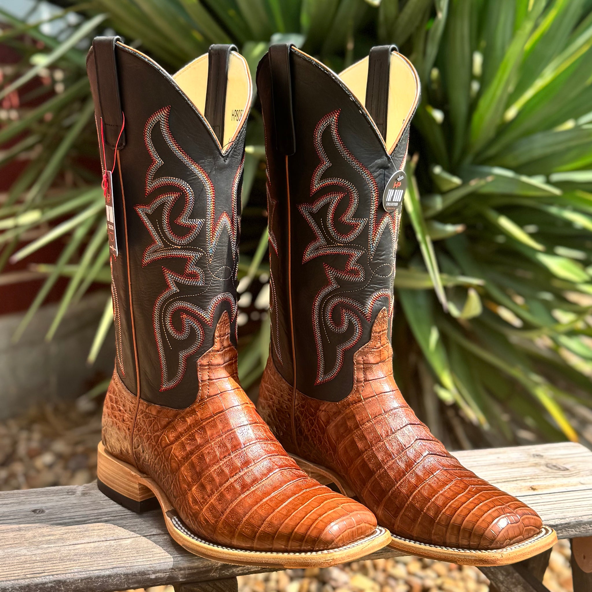 Men's Horse Power Cigar Caiman Square Toe Boot